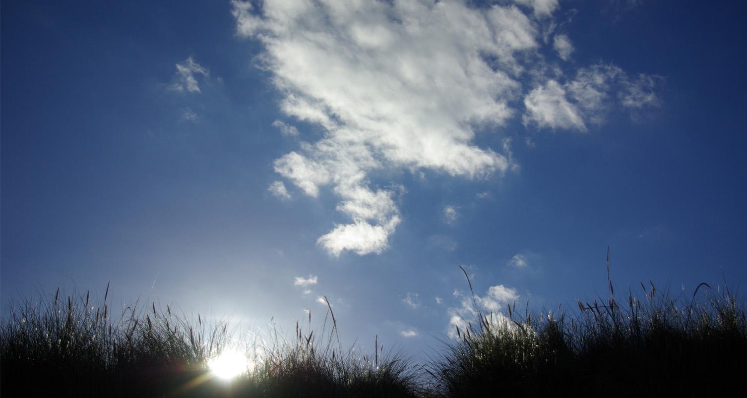 Case Study: Arcinova